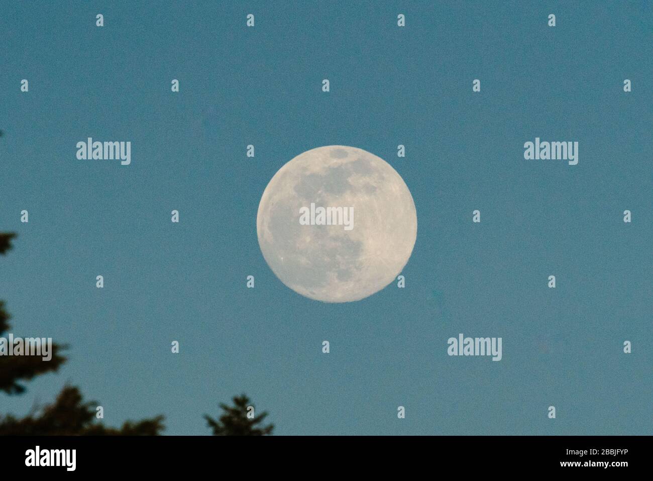 Full moon rises across night hi-res stock photography and images - Alamy