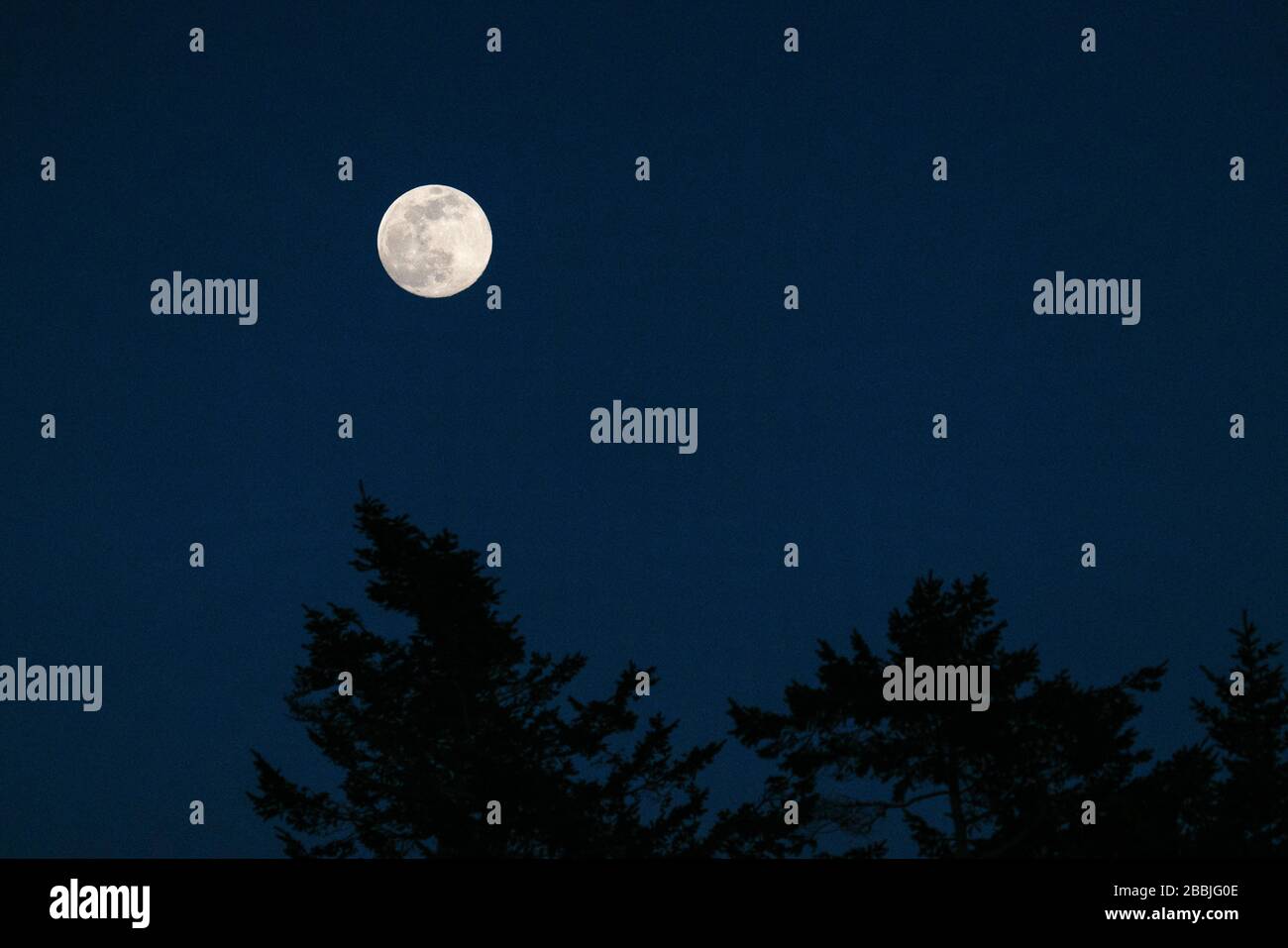 Full moon rising forest hi-res stock photography and images - Alamy