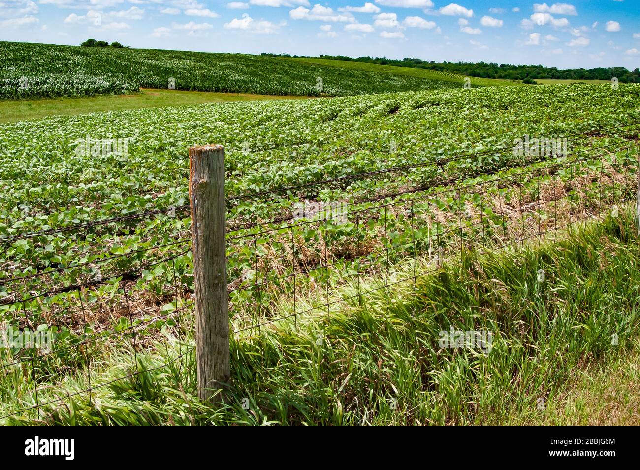 Fence Post with Midwest Farm Fields Stock Photo - Alamy