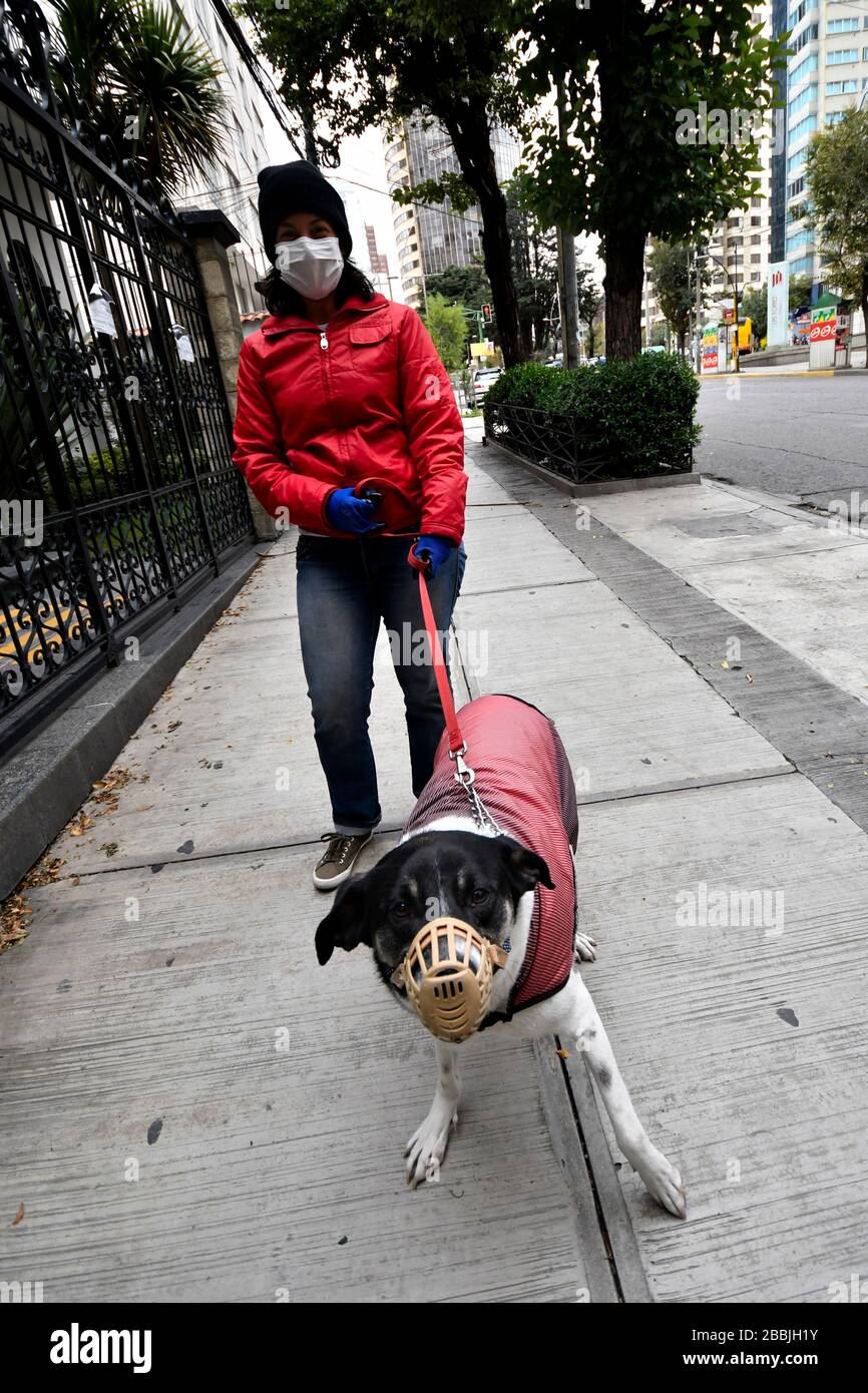 La Paz, La Paz, Bolivia. 30th Mar, 2020. Daily life during the Martial ...