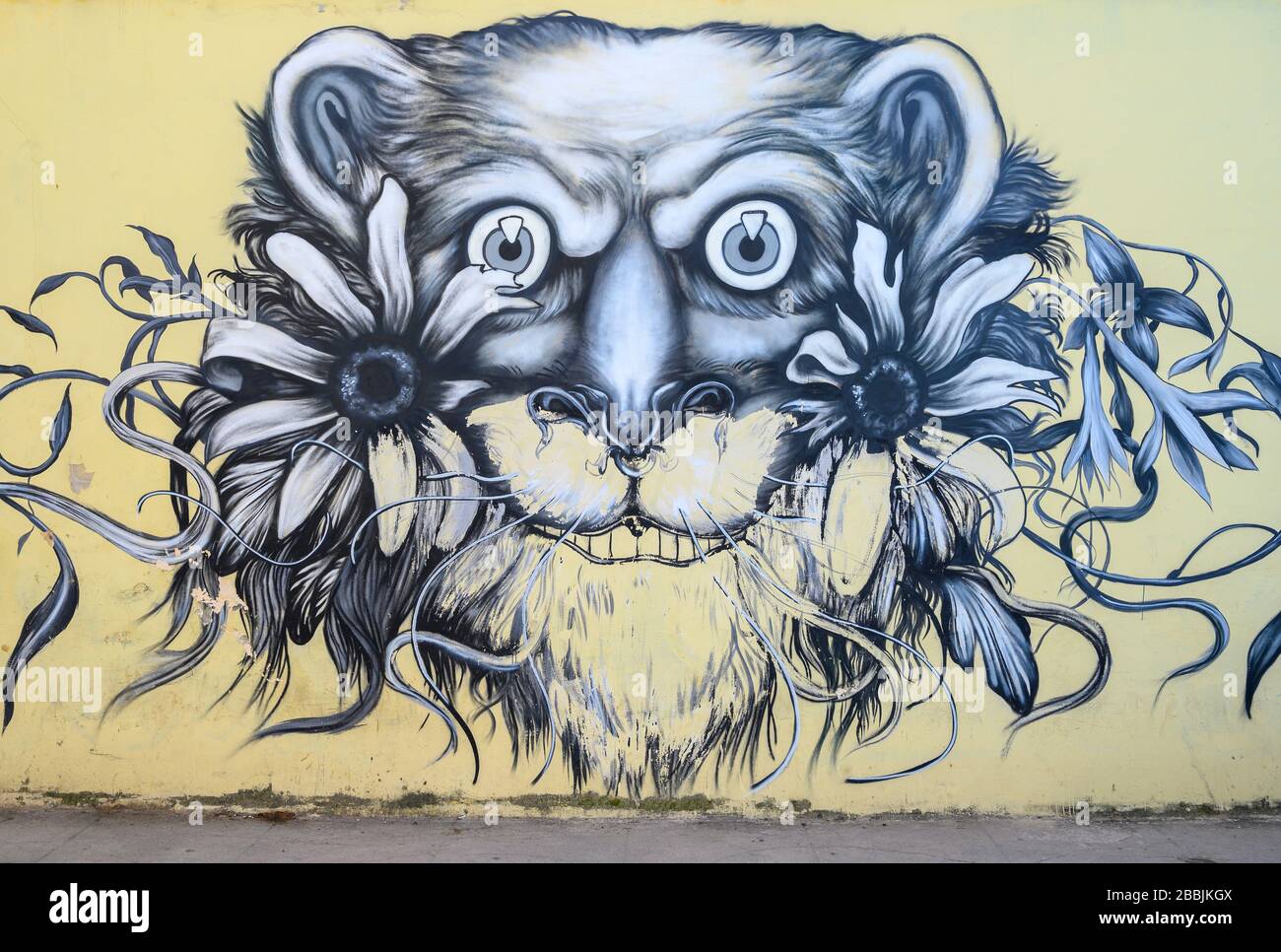 Street art murals in Havana Vieja, , Cuba Stock Photo - Alamy