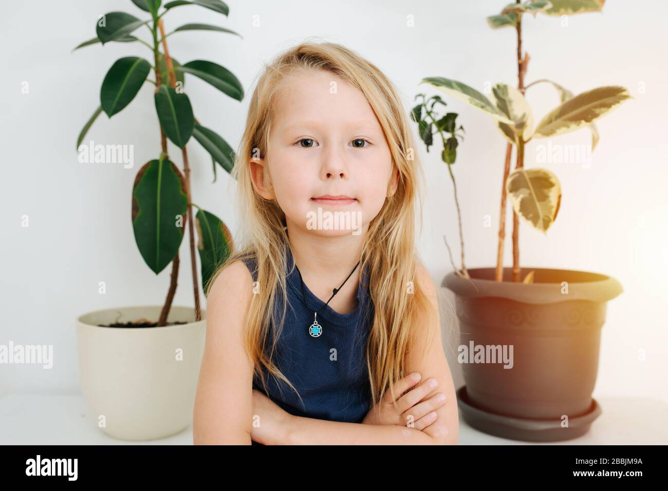 Little boy standing with arms-crossed. Pottet plants on the table ...
