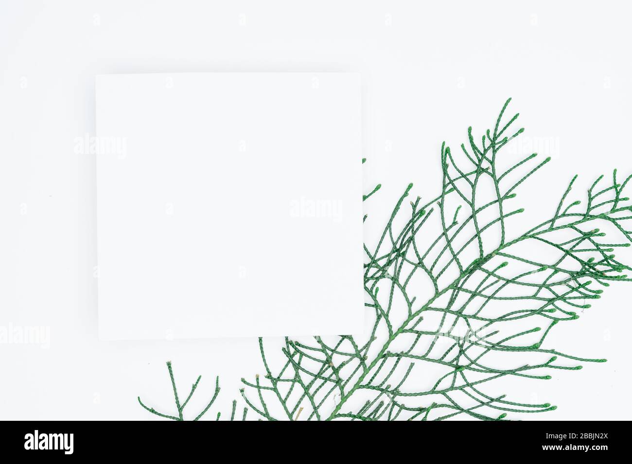 Creative layout made of papers and leaves Flat lay. Minimal nature ...