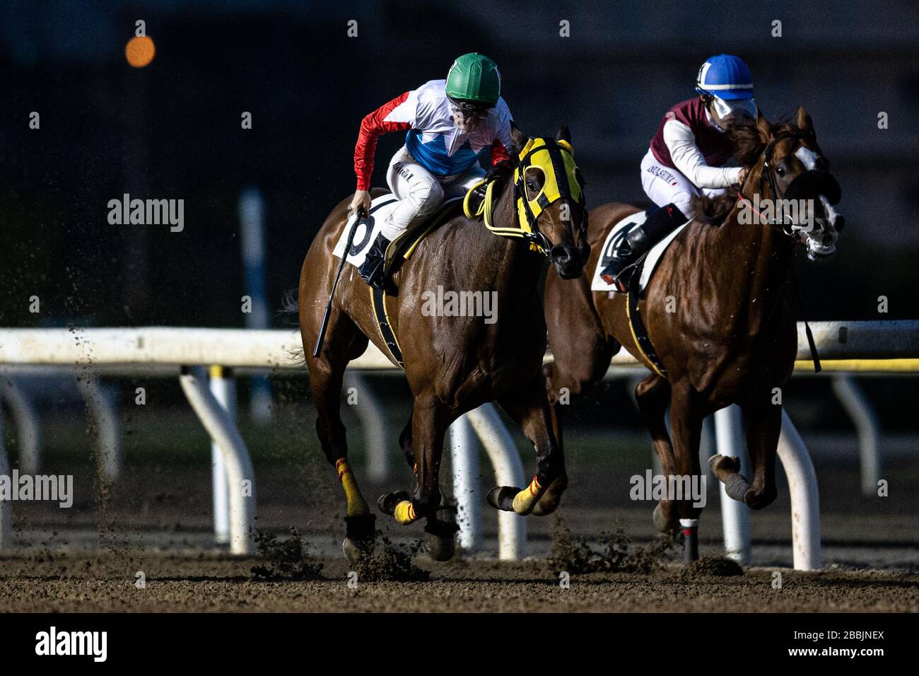 Chiba, Japan. 31st Mar, 2020. Mickaelle Michel, March 31, 2020 - Horse ...