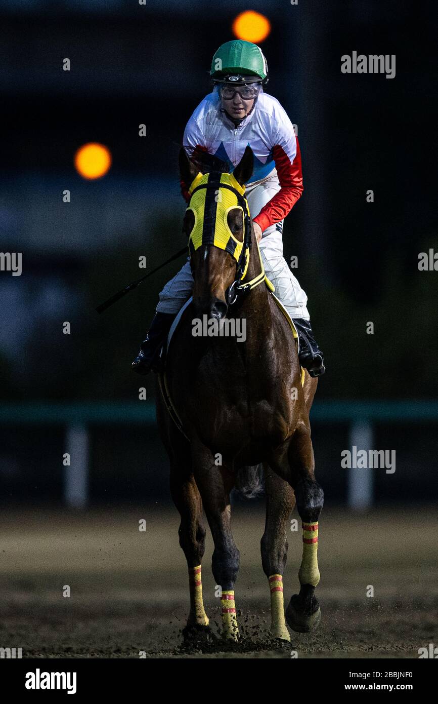 Chiba, Japan. 31st Mar, 2020. Mickaelle Michel, March 31, 2020 - Horse ...