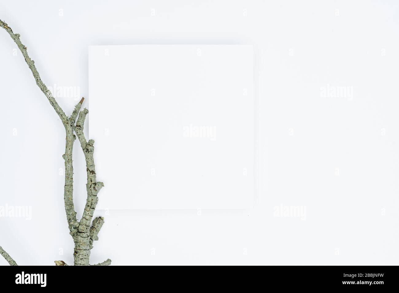 Creative layout made of papers and leaves Flat lay. Minimal nature ...