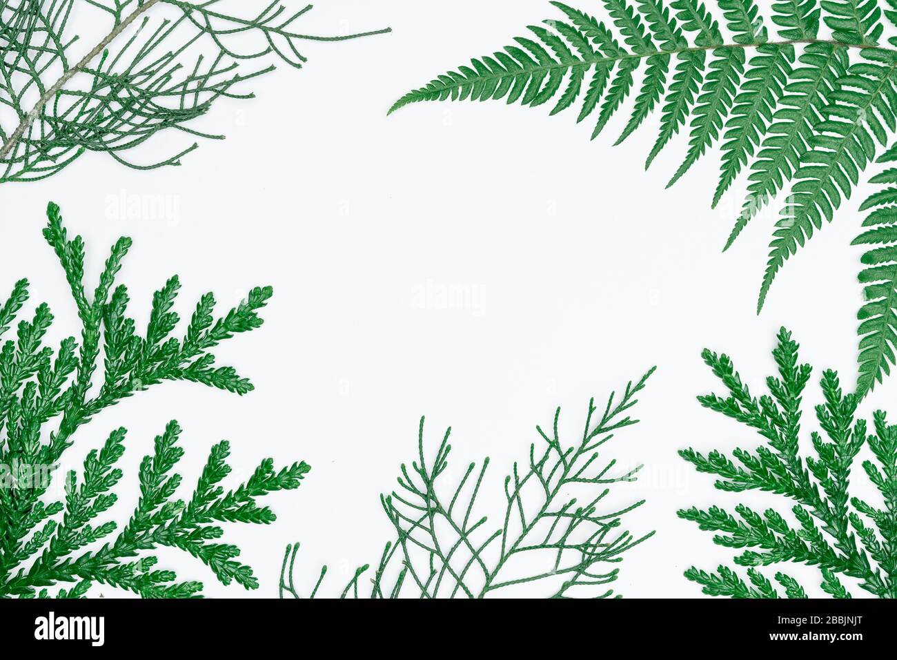 Creative layout made of papers and leaves Flat lay. Minimal nature ...