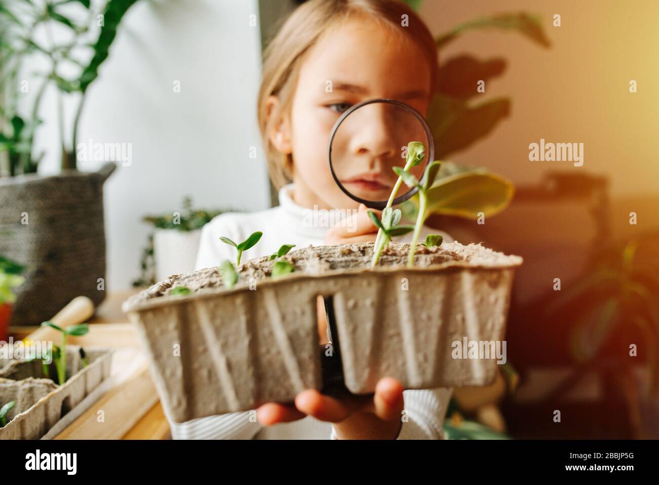 Little girl studying plant leaves with a magnifying glass, looking ...
