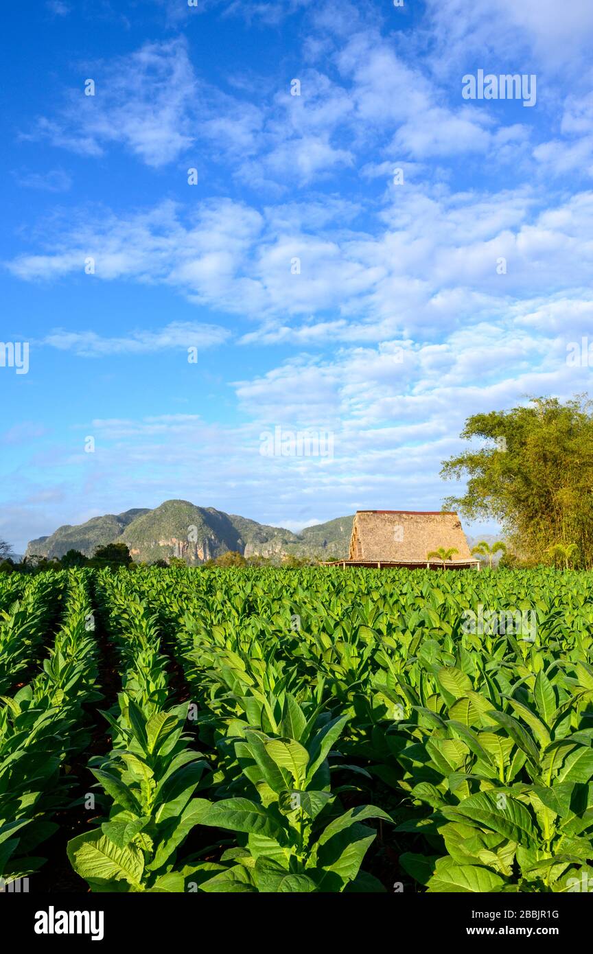 Row rural sheds hi-res stock photography and images - Alamy