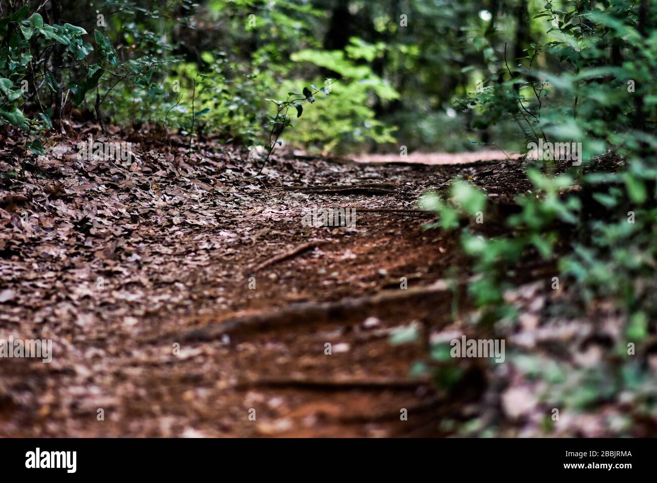 Outdoor path in Texas Stock Photo - Alamy
