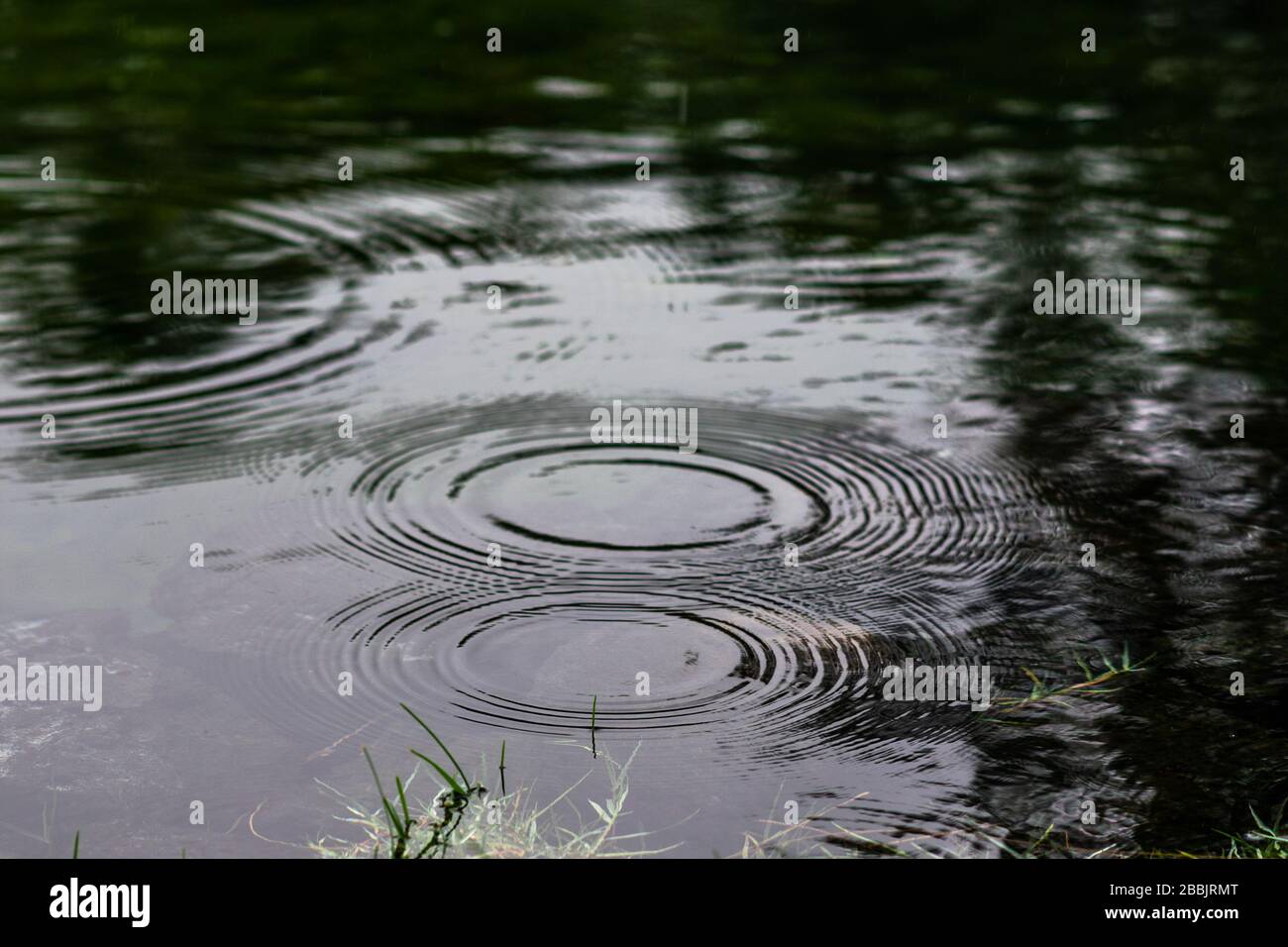 Water ripples in a pond Stock Photo - Alamy