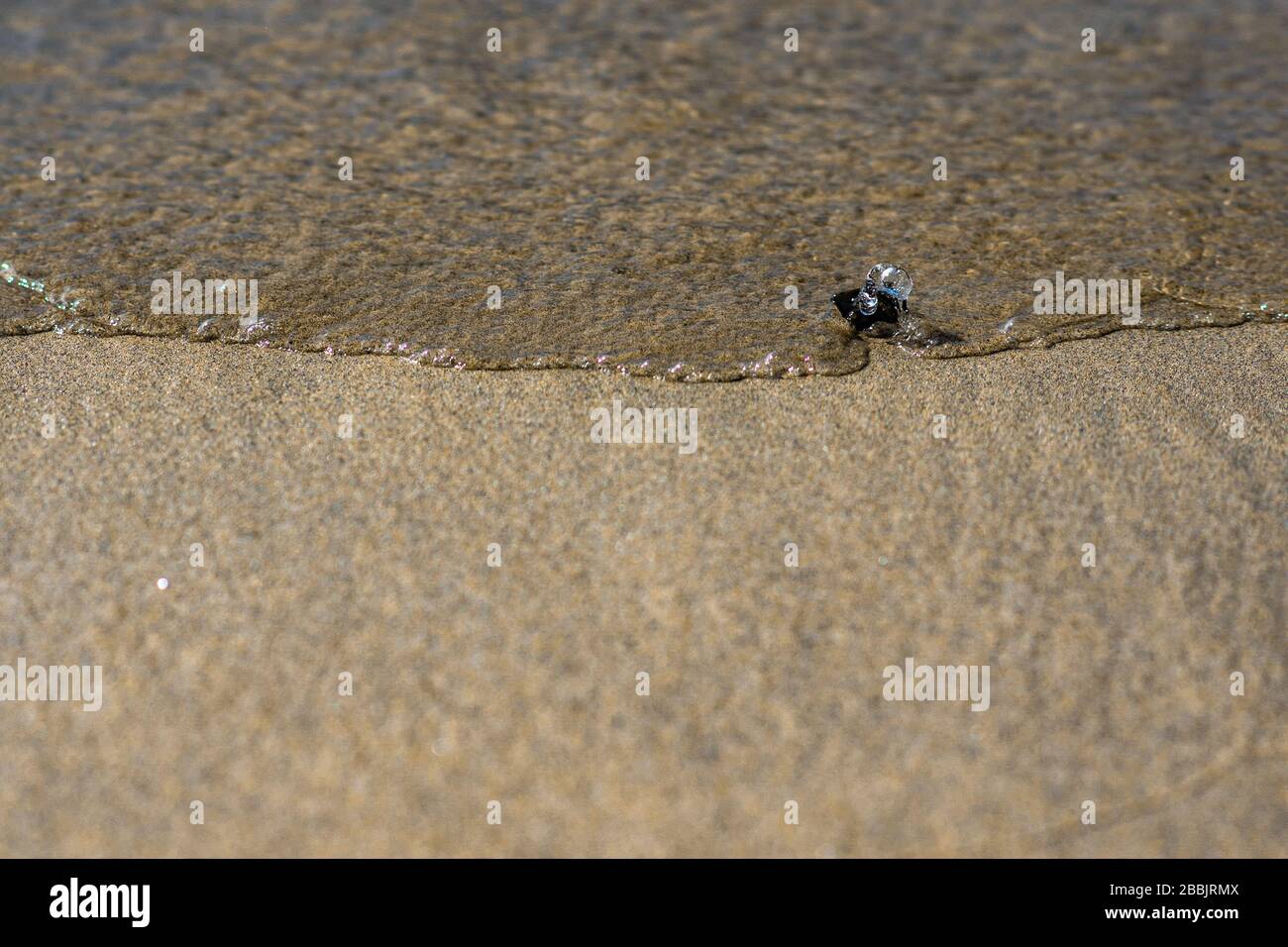 Beach close up Stock Photo - Alamy