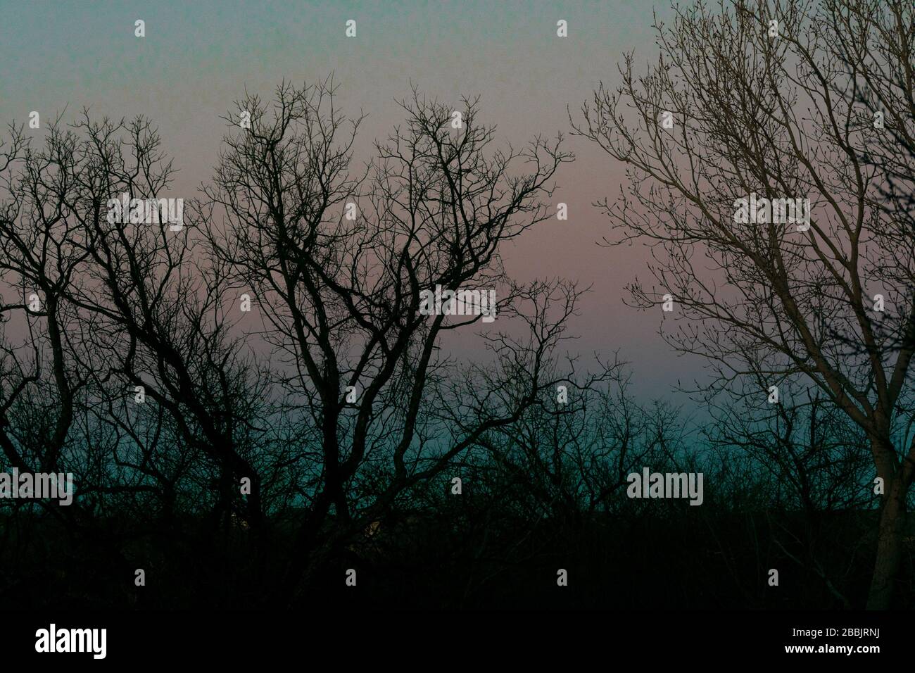 Colors in the sky before sunrise Stock Photo - Alamy