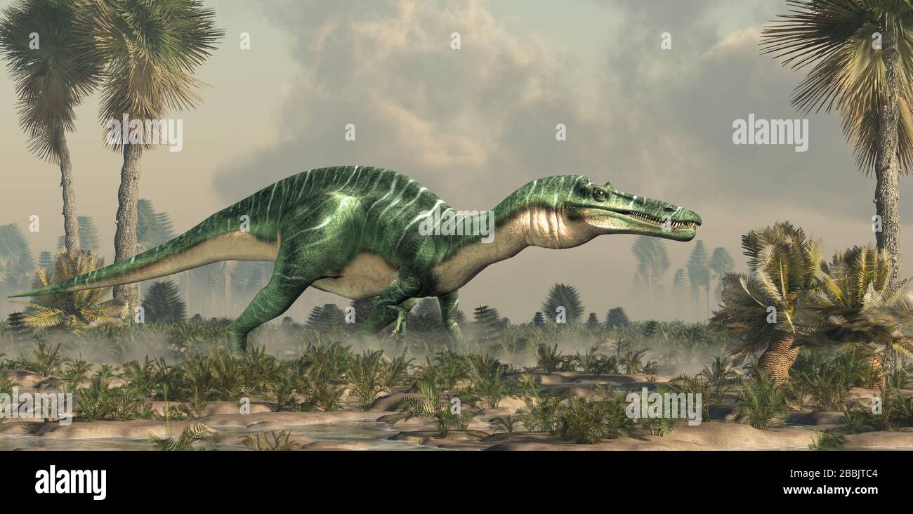 Suchomimus was a large carnivorous spinosaurid theropod dinosaur that ...