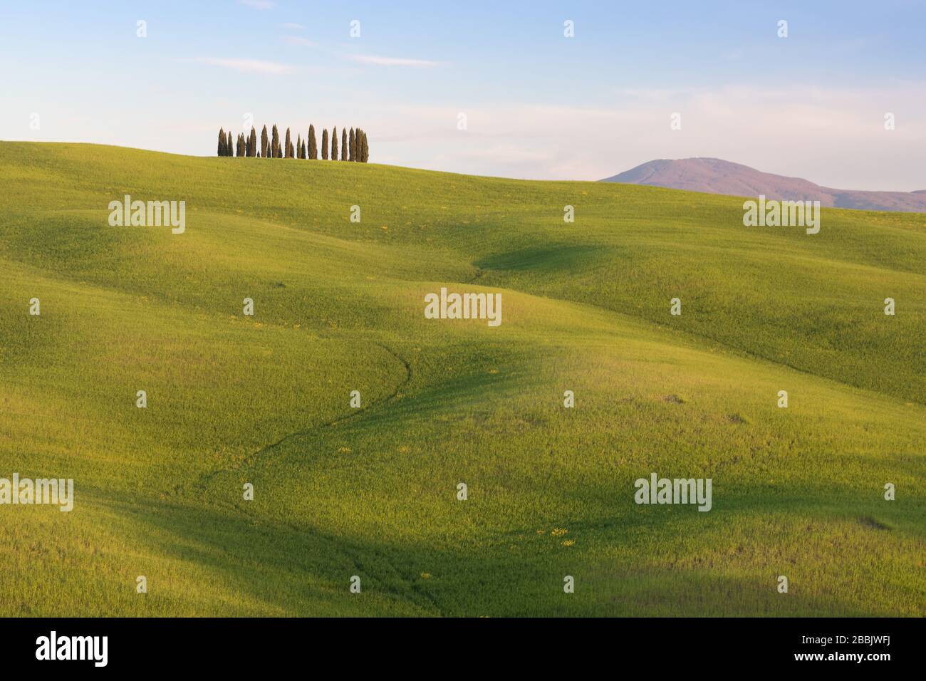 Beautiful colors of green spring panorama landscape of Tuscany. Most ...