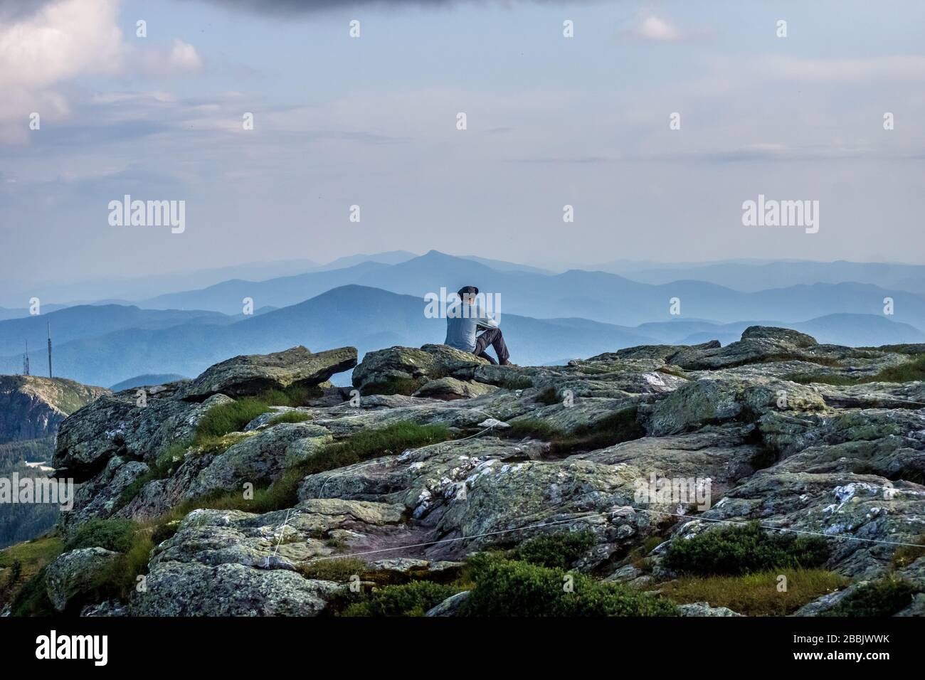 Peering over the rocks hi-res stock photography and images - Alamy
