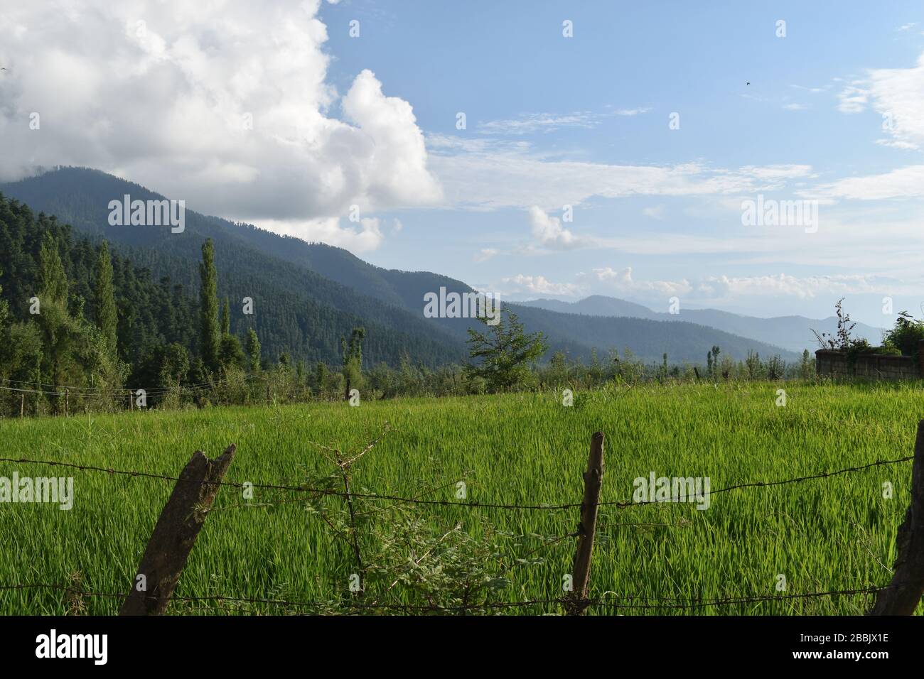Beautiful shot of a landscape out side a village with lush green trees ...