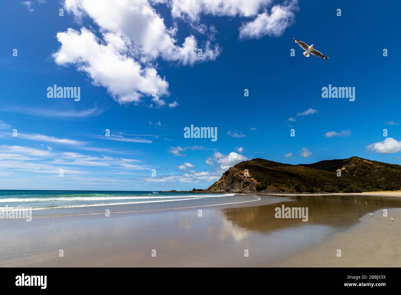 Spirits bay new zealand hi-res stock photography and images - Alamy
