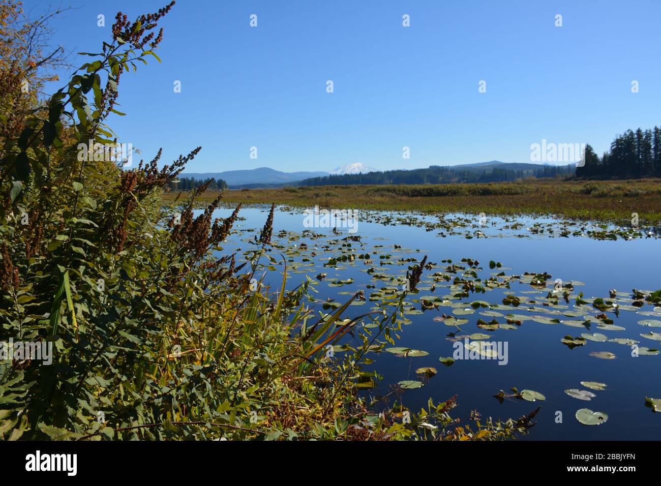 View of snow-capped Mt St Helens in October, taken from Silver Lake ...