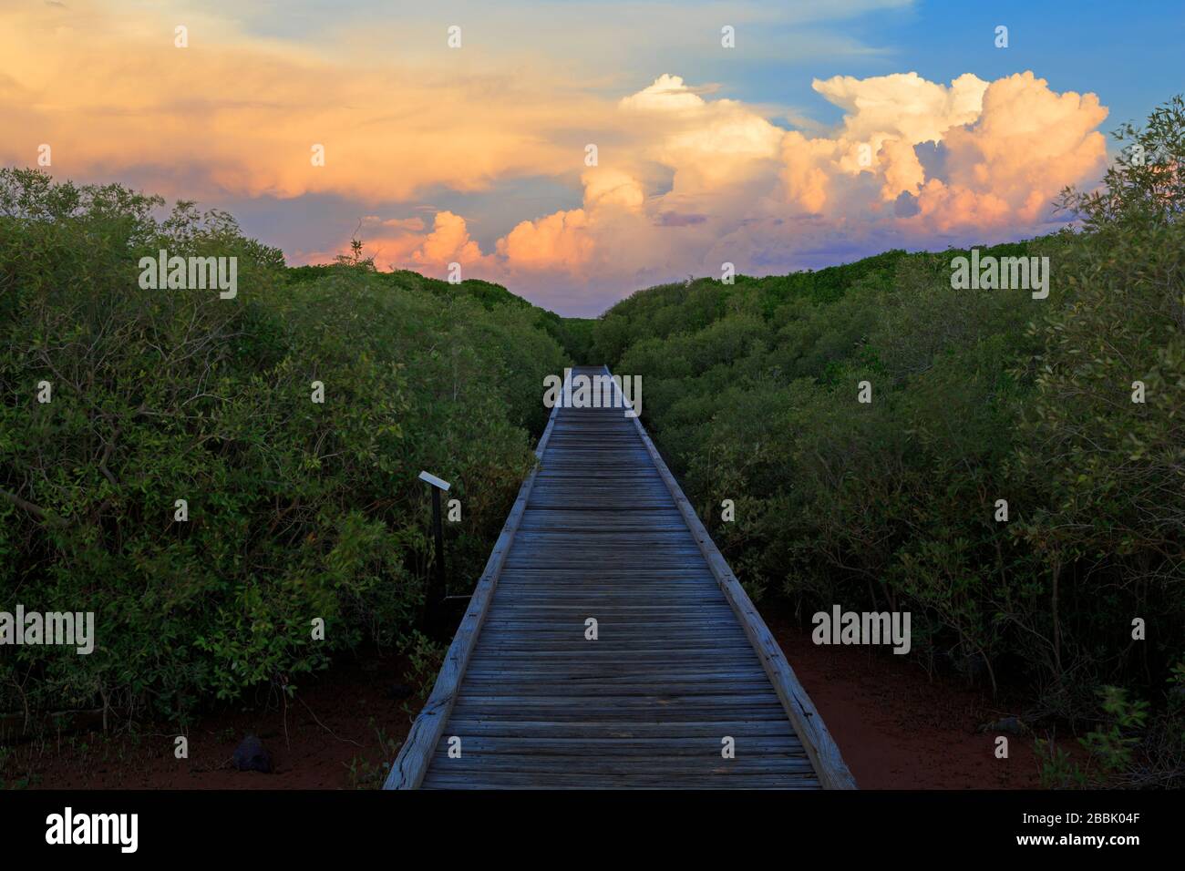 Streeter's Jetty, Broome, Western Australia Stock Photo - Alamy