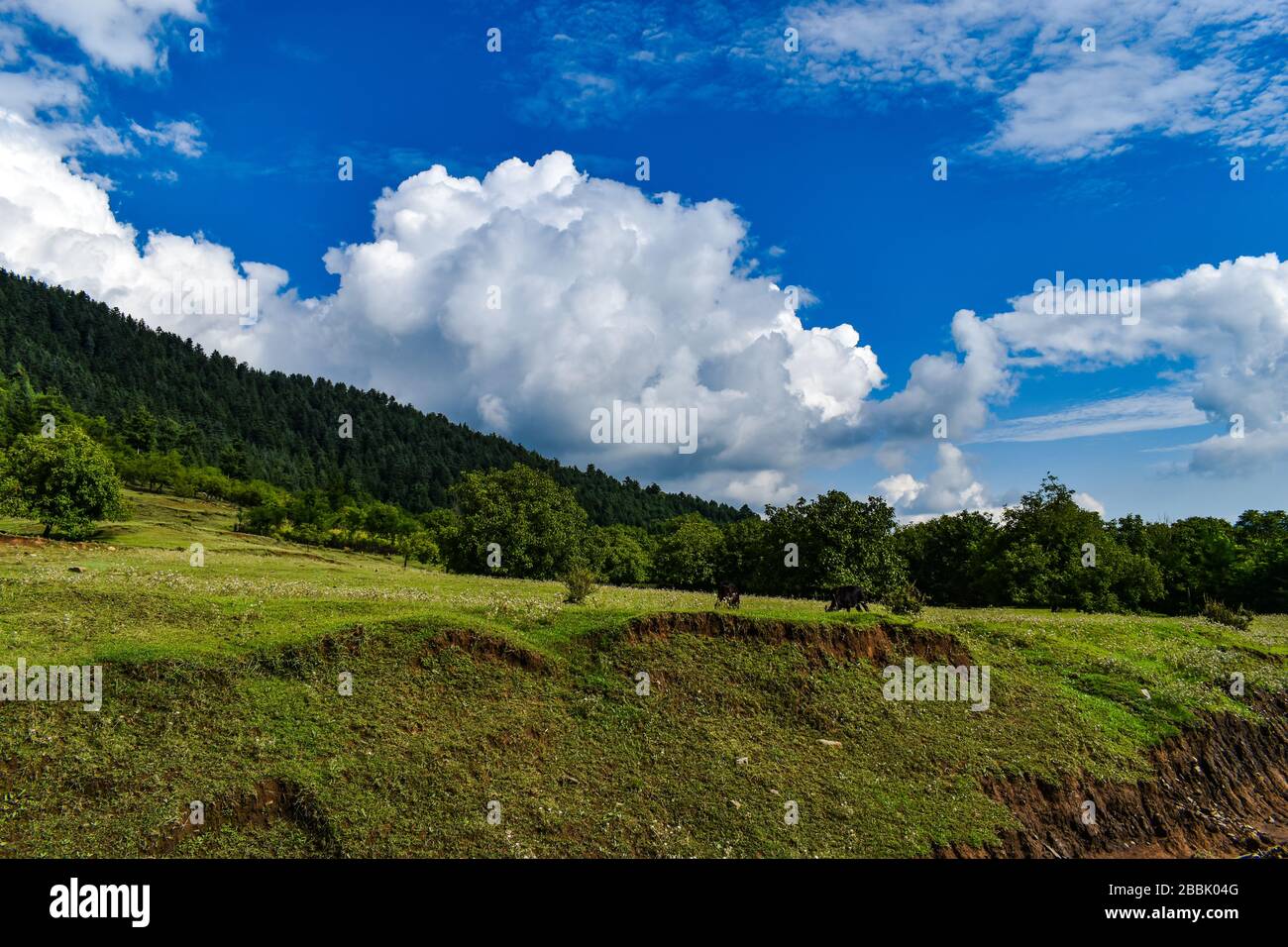Beautiful shot of a landscape out side a village with lush green trees ...