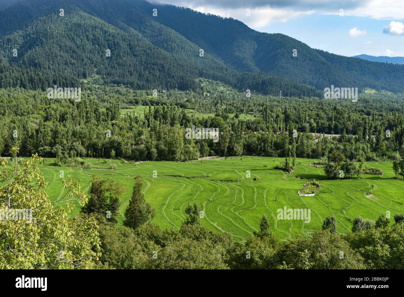 Walnut hill farm hi-res stock photography and images - Alamy