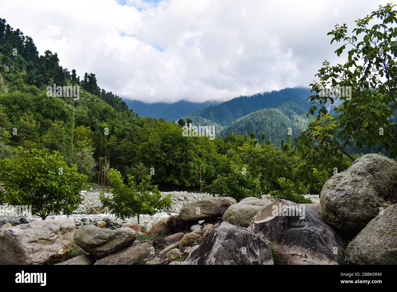 Tree trees stone asia india hi-res stock photography and images - Alamy
