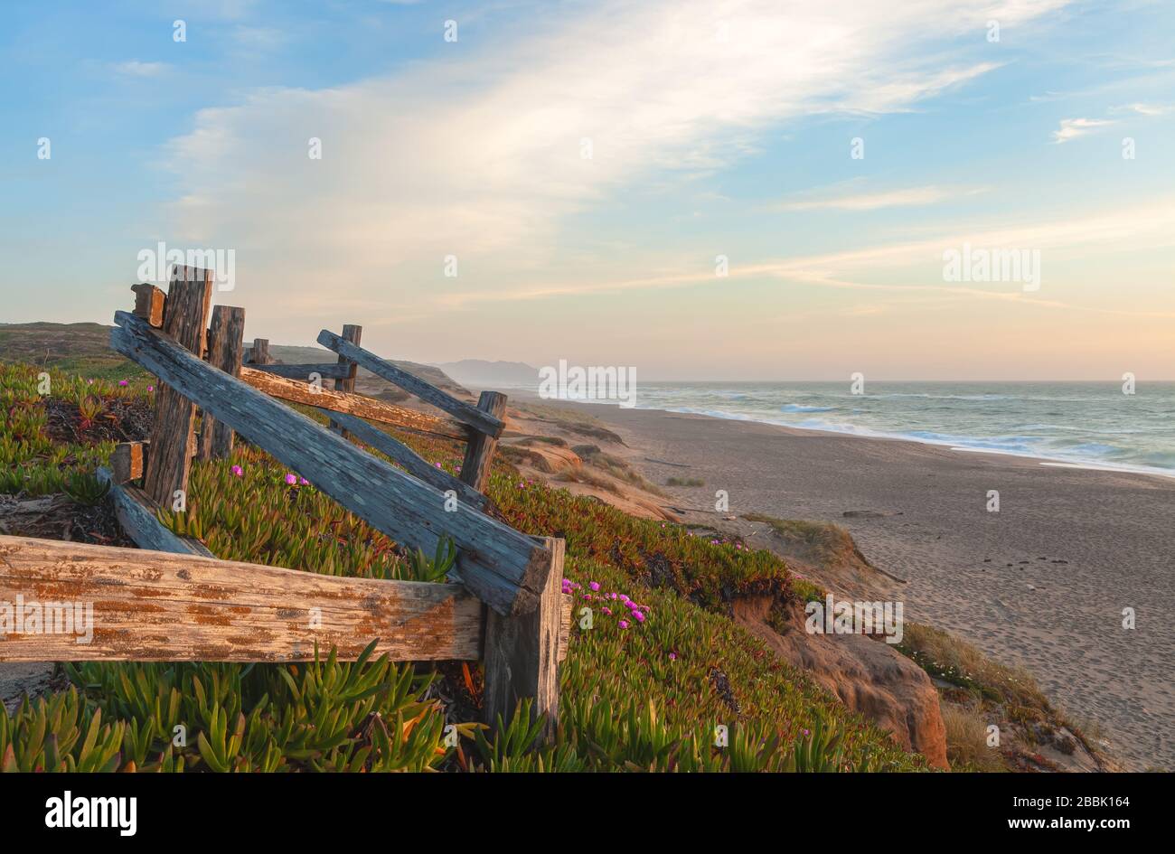 Sea fig coast hi-res stock photography and images - Alamy