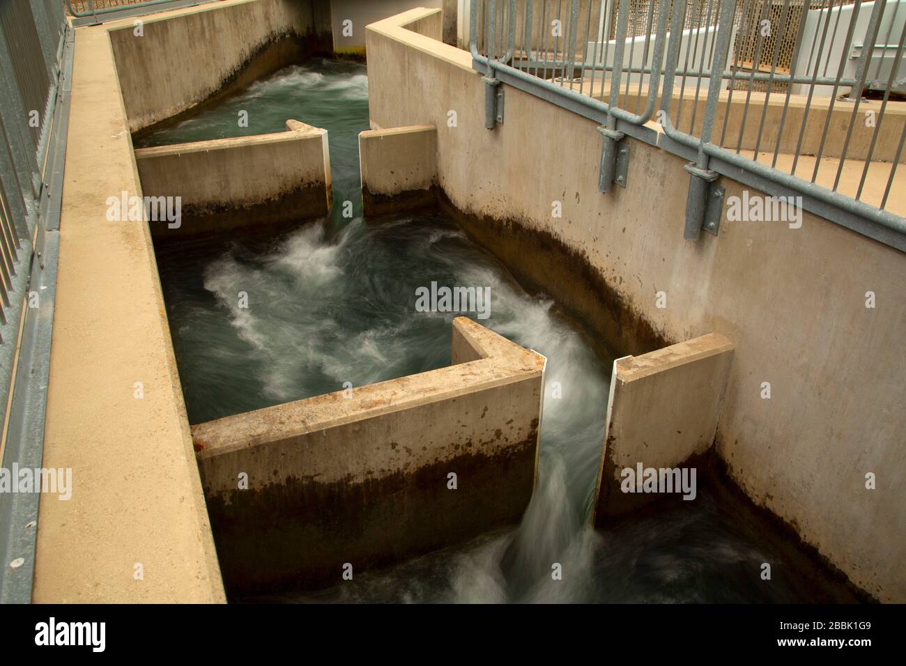 Salmon Fish Ladder High Resolution Stock Photography and Images - Alamy