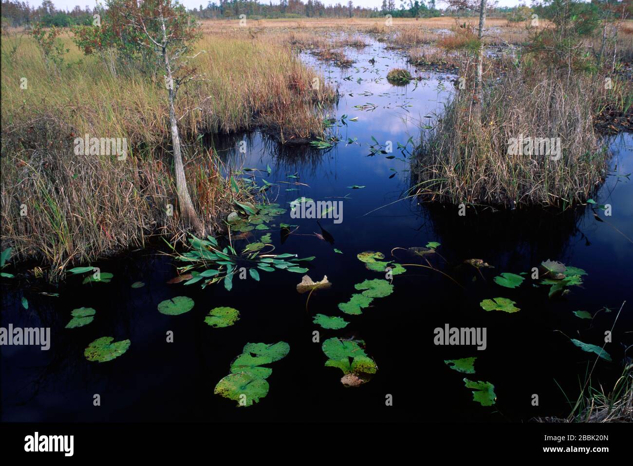 Mizell hi-res stock photography and images - Alamy