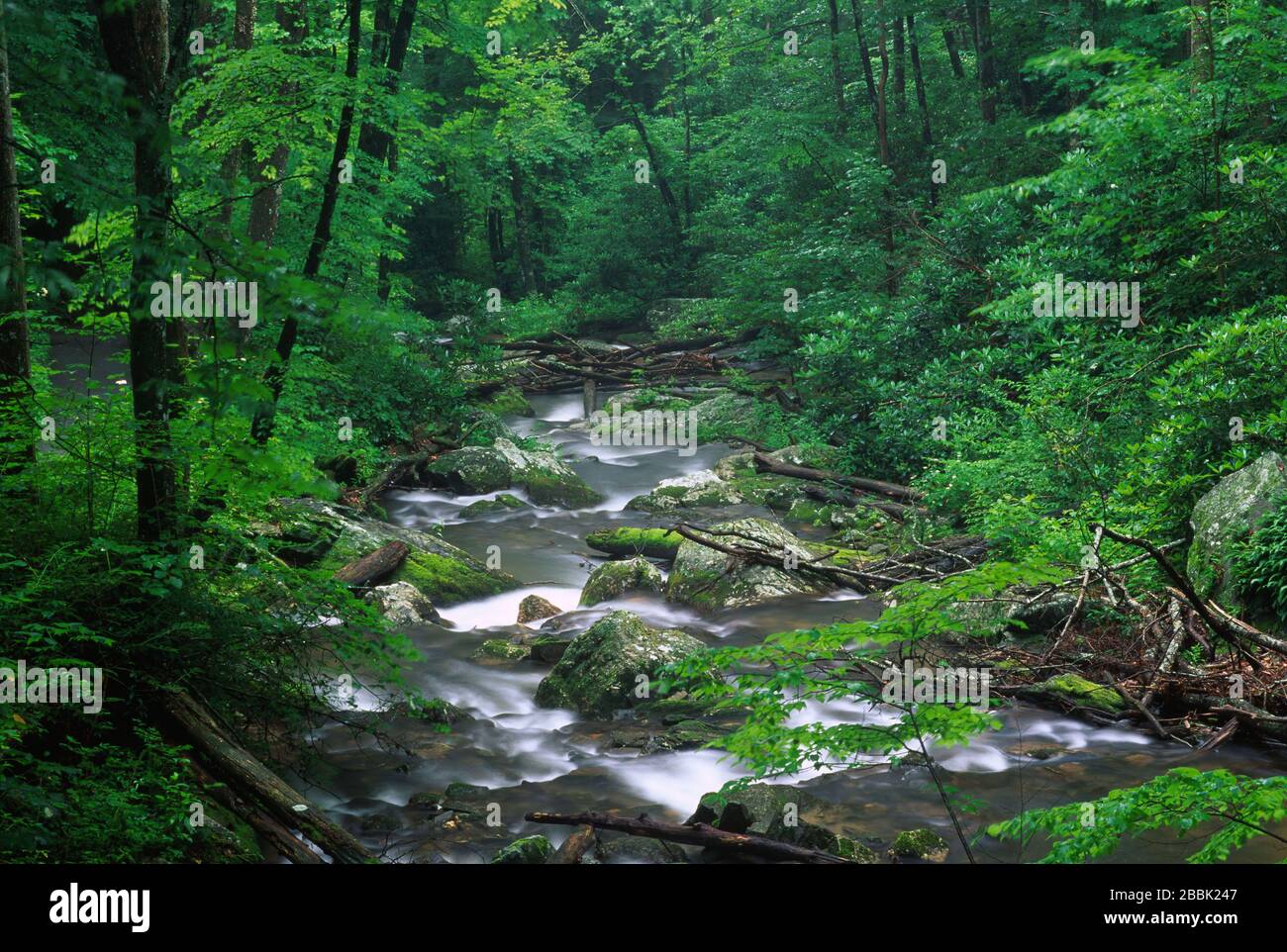 Chattahoochee national forest hi-res stock photography and images - Alamy