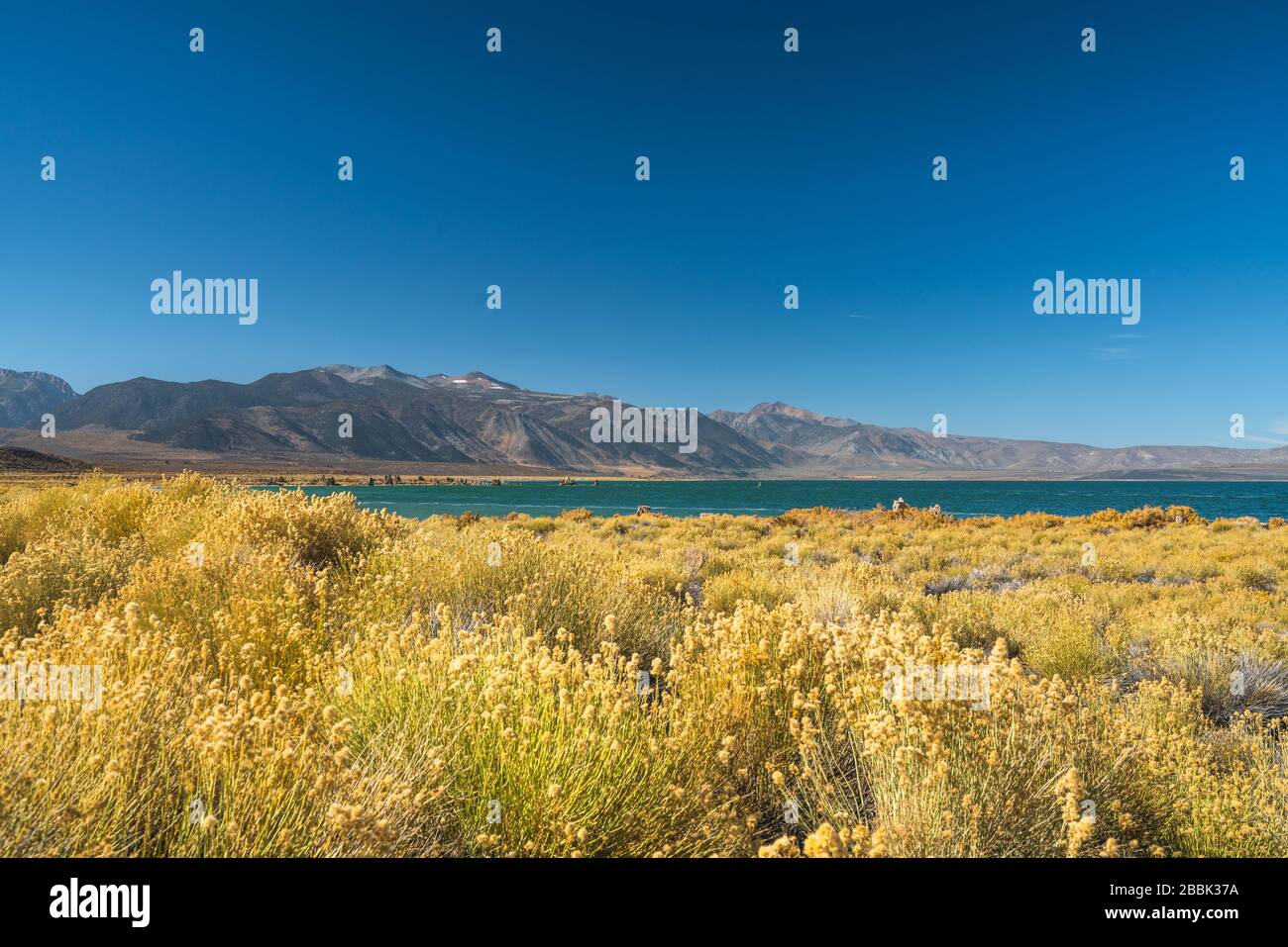 Mono fall colors hi-res stock photography and images - Alamy