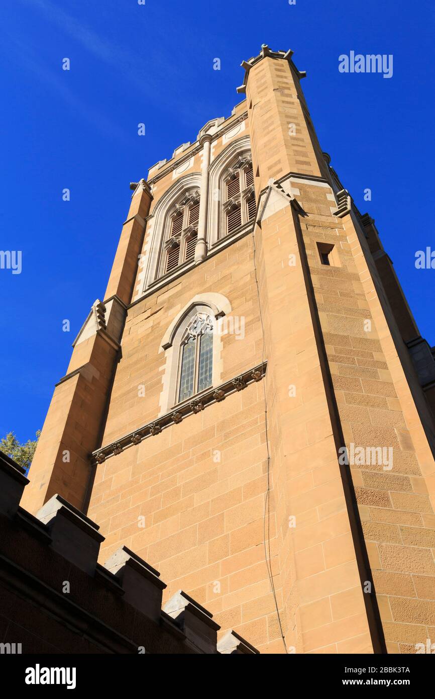 St. David's Cathedral, Hobart, Tasmania Island, Australia Stock Photo ...