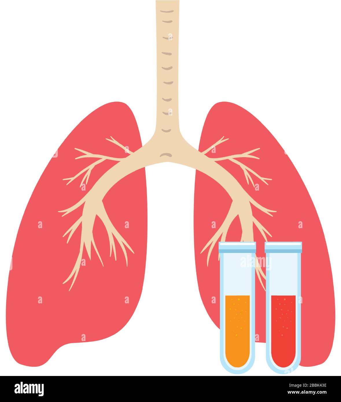 Medical lungs tubes Stock Vector Images - Alamy