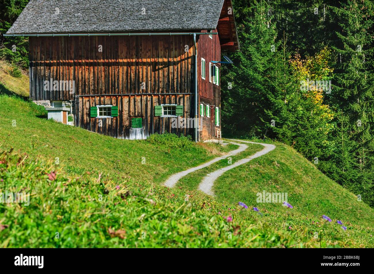 Typical old wooden farmhouse on hillside landscape in austrian Montafon ...