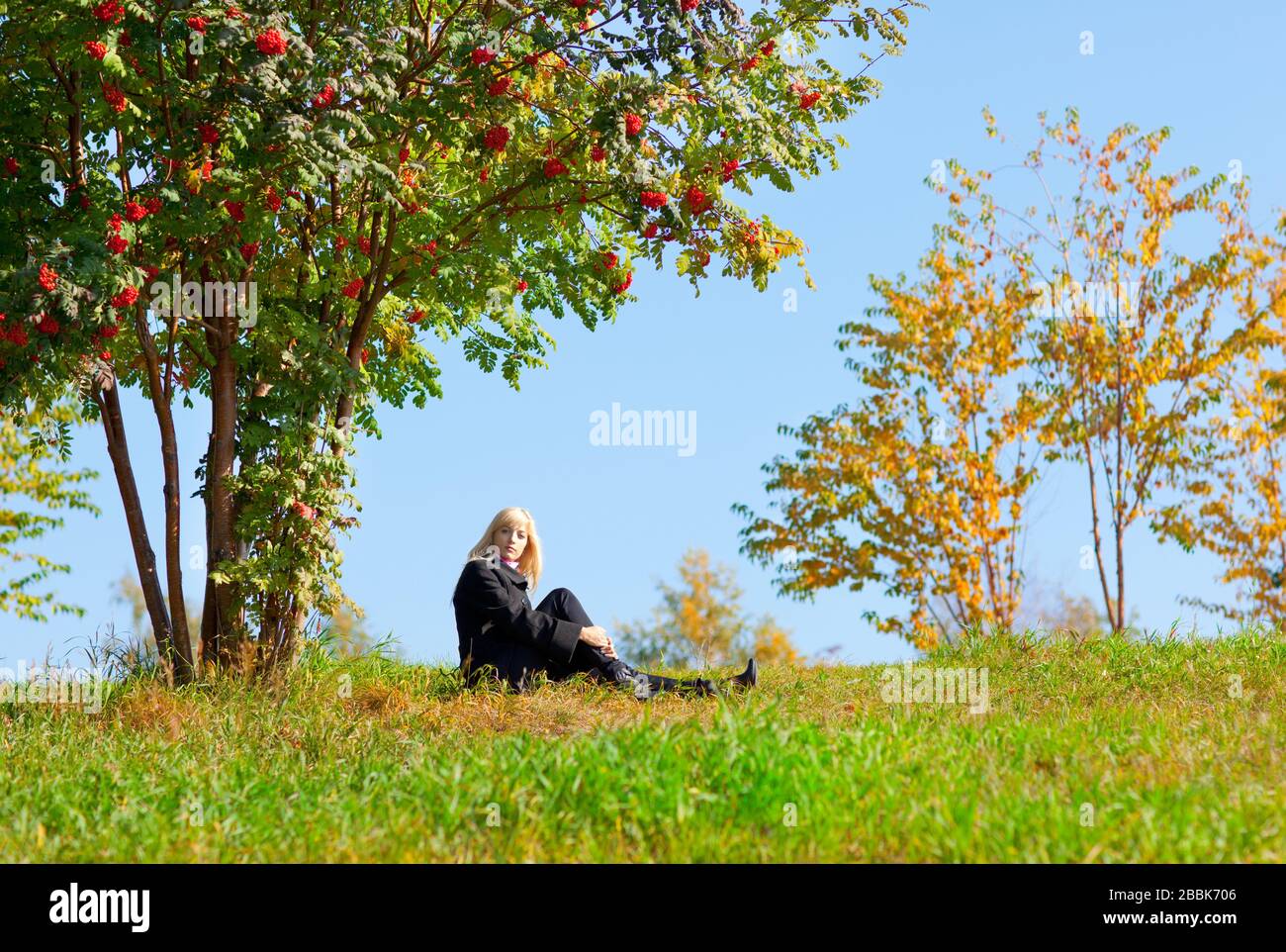 Beautiful young woman sits under the tree in autumn park under mountain ...