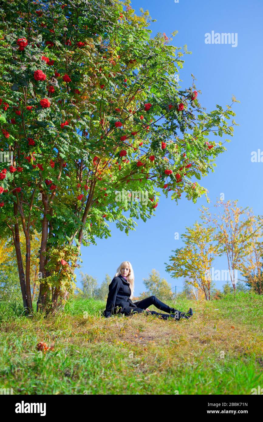 Beautiful young woman sits under the tree in autumn park under mountain ...