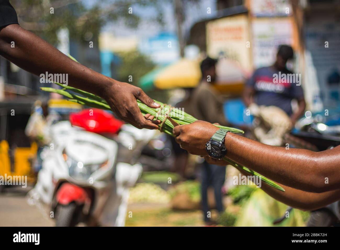 Harvest Veg People High Resolution Stock Photography and Images - Alamy