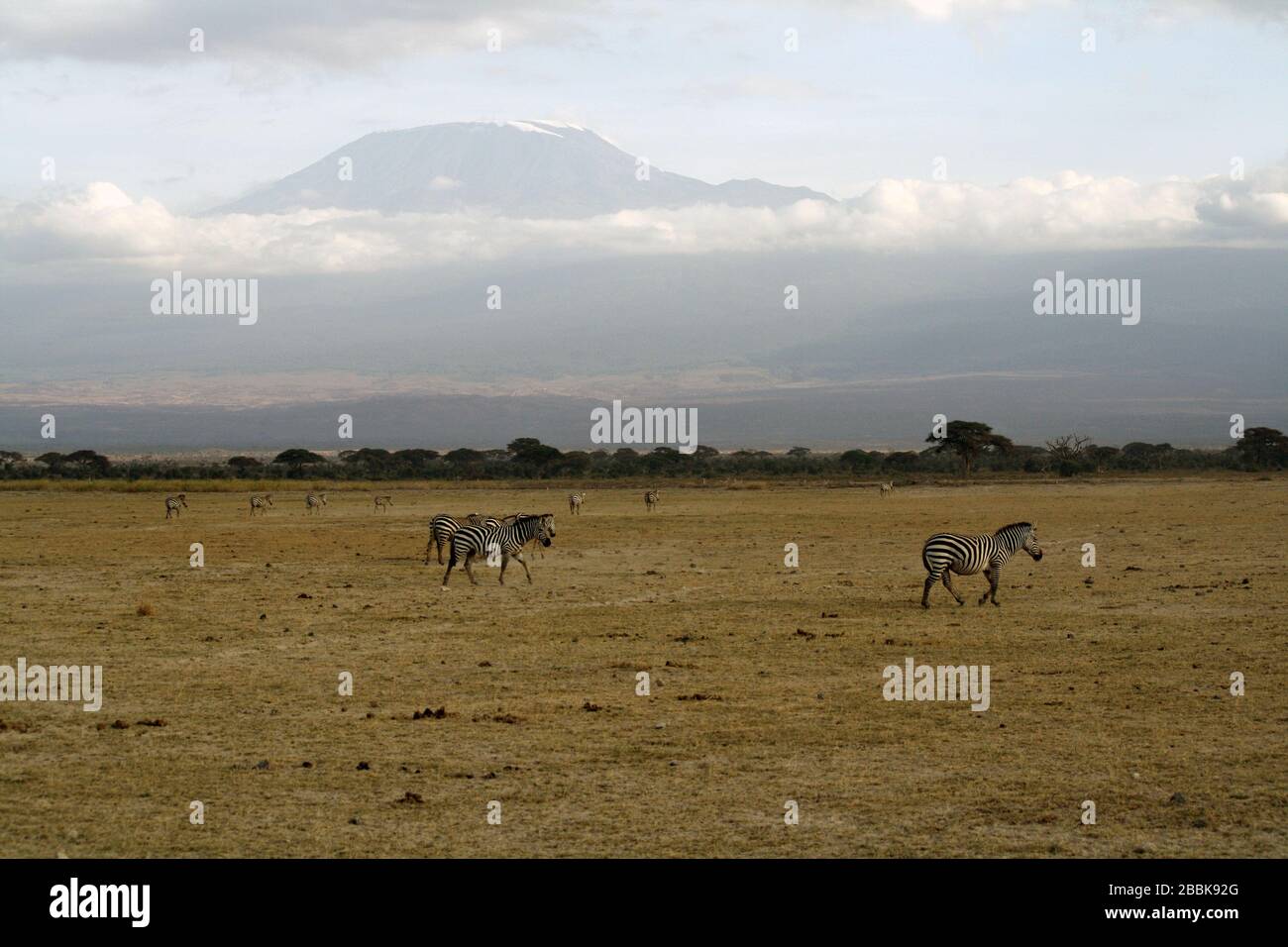Kenya landscape hi-res stock photography and images - Alamy