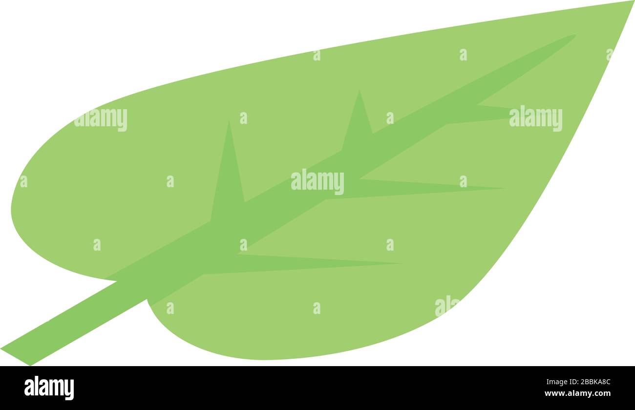 Matcha packaging Stock Vector Images - Alamy