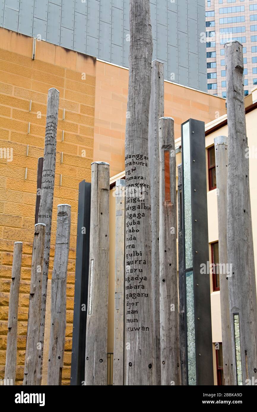 'Edge of Trees' by Janet Laurence at the Museum of Sydney,Central ...