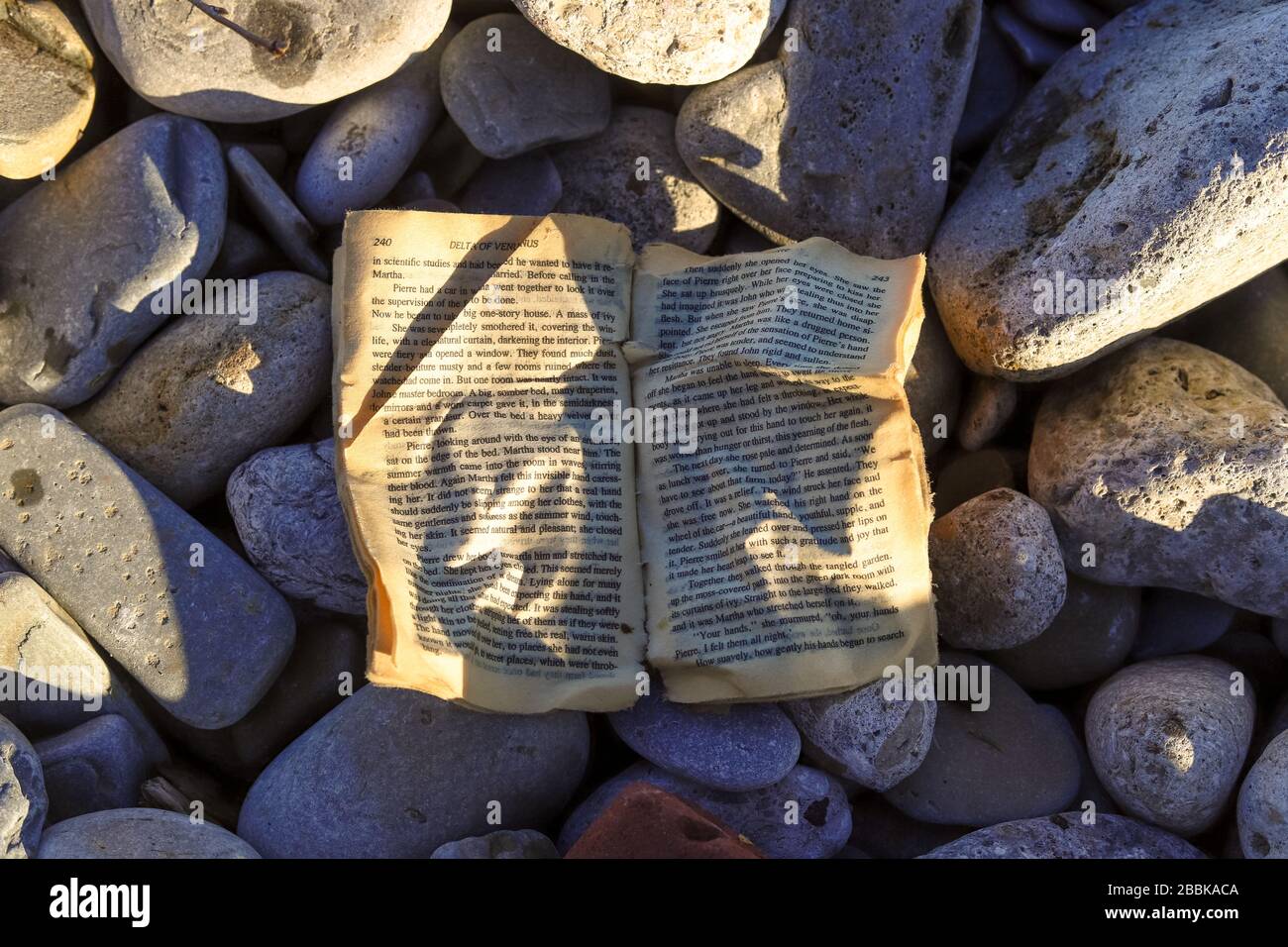 granite science - old book on stones background Stock Photo - Alamy