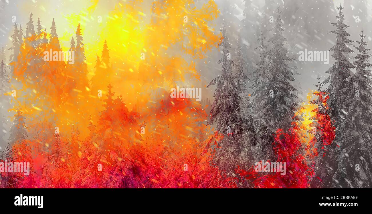 burning spruce forest and painting effect. ecology concept Stock Photo ...