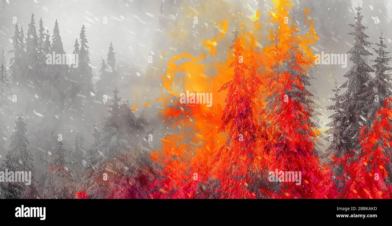 burning spruce forest and painting effect. ecology concept Stock Photo ...
