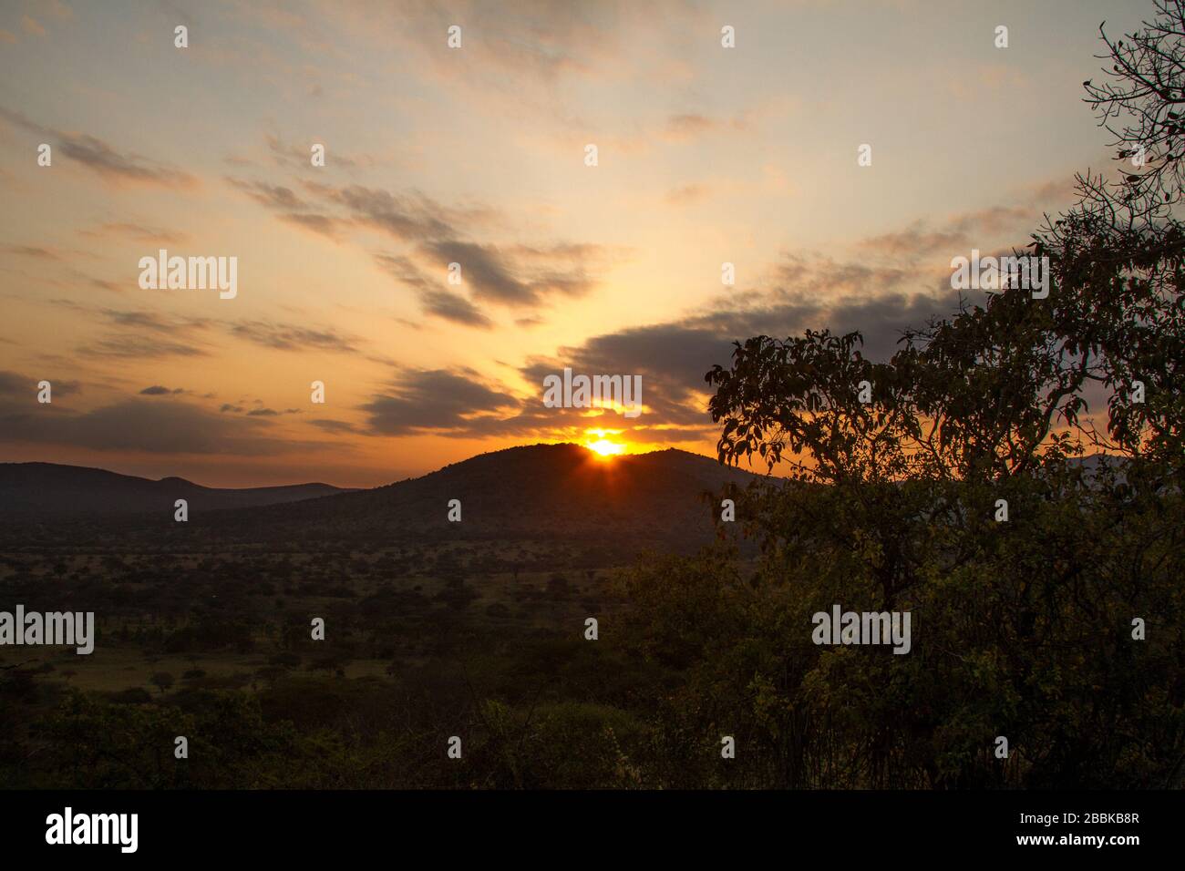 The always stunning African sunset Stock Photo - Alamy