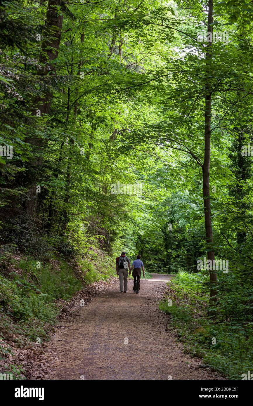 Couple walking along tree-lined path in a park on the outskirts of ...