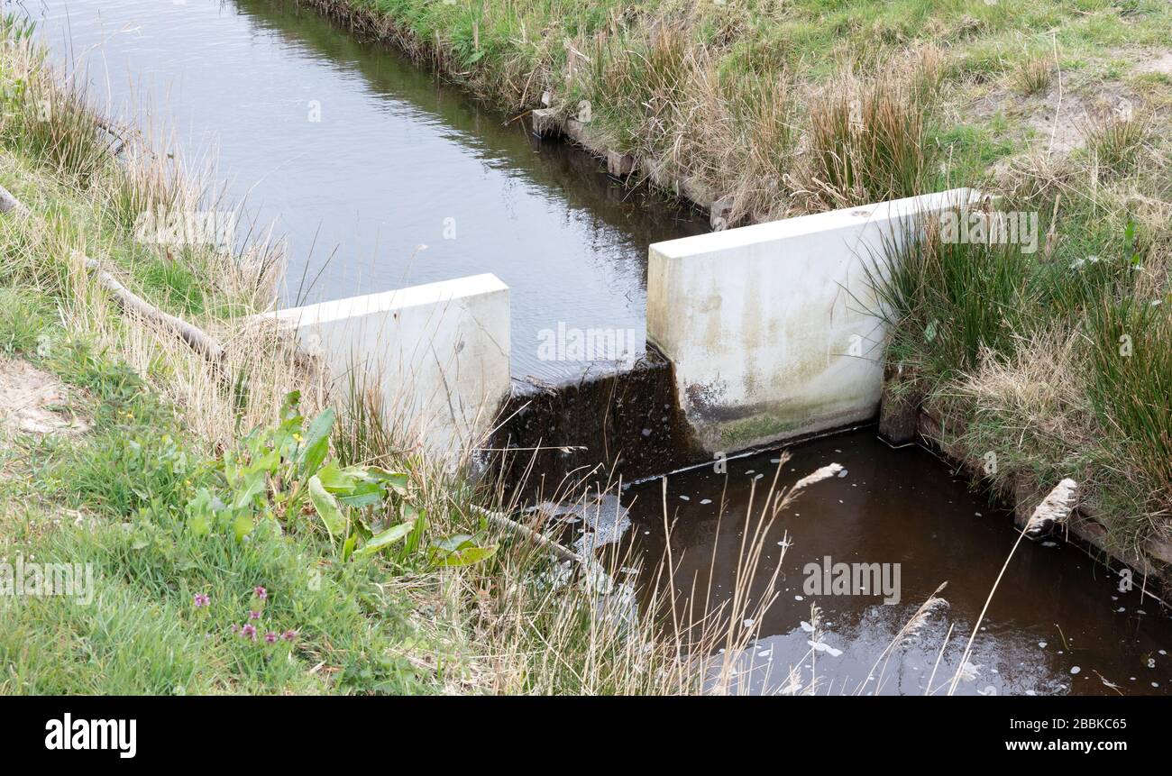 Meadow with a ditch in the Netherlands, man made waterworks Stock Photo ...