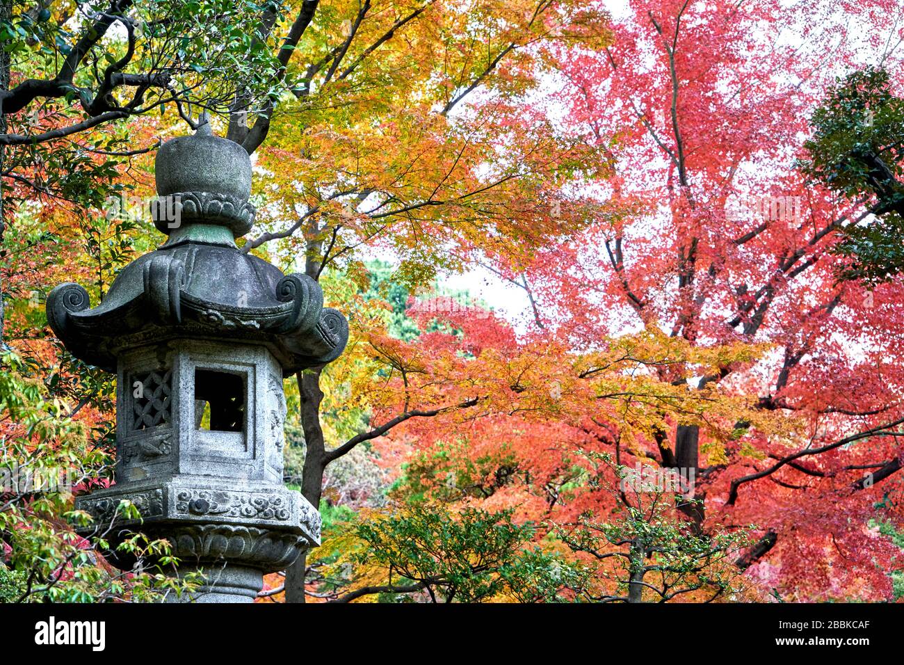 Stone lantern in Japanese style garden during autumn Stock Photo - Alamy
