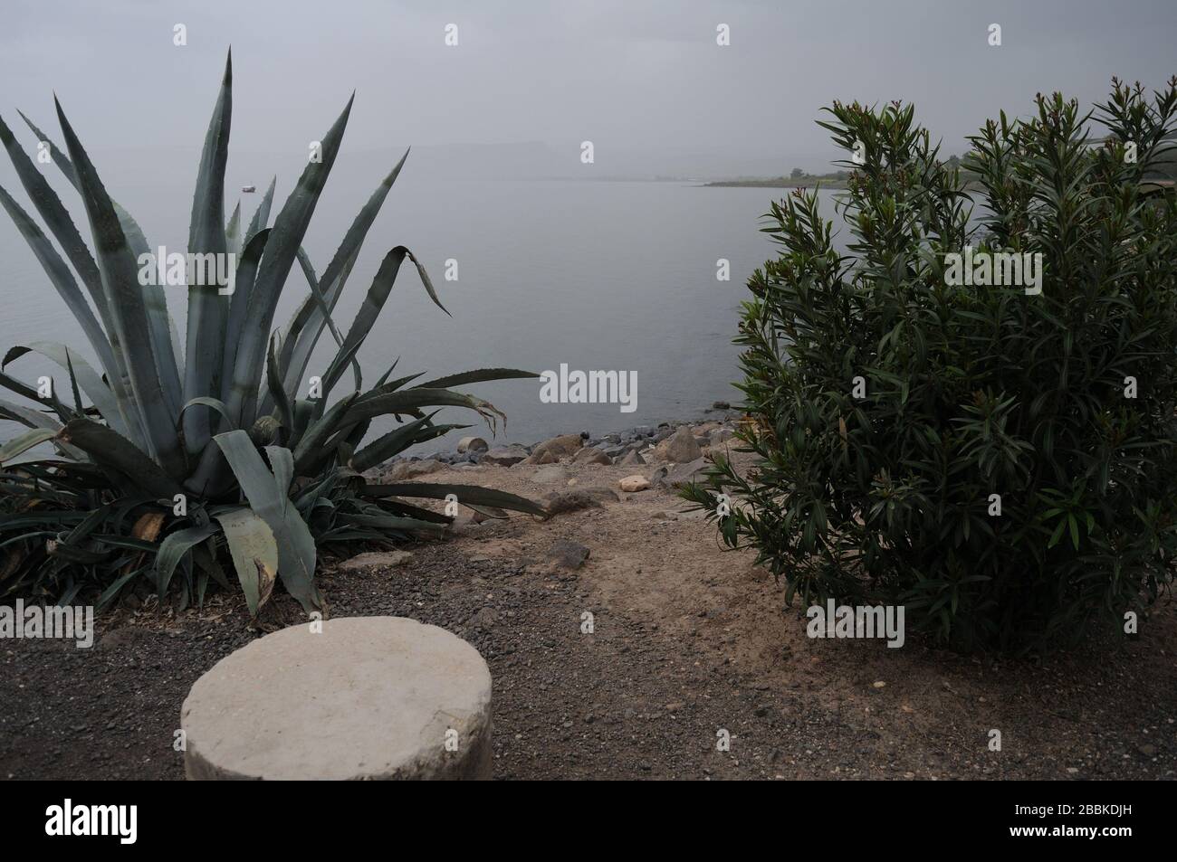 Lake water horizon landscape. Lake landscape Stock Photo - Alamy