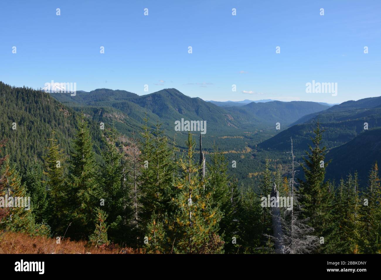 Mount Adams seen in October from a roadside viewpoint above a valley in ...